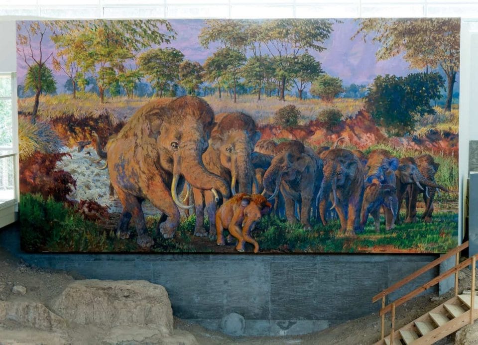 31+ Best Things to Do in Waco, Texas 2023