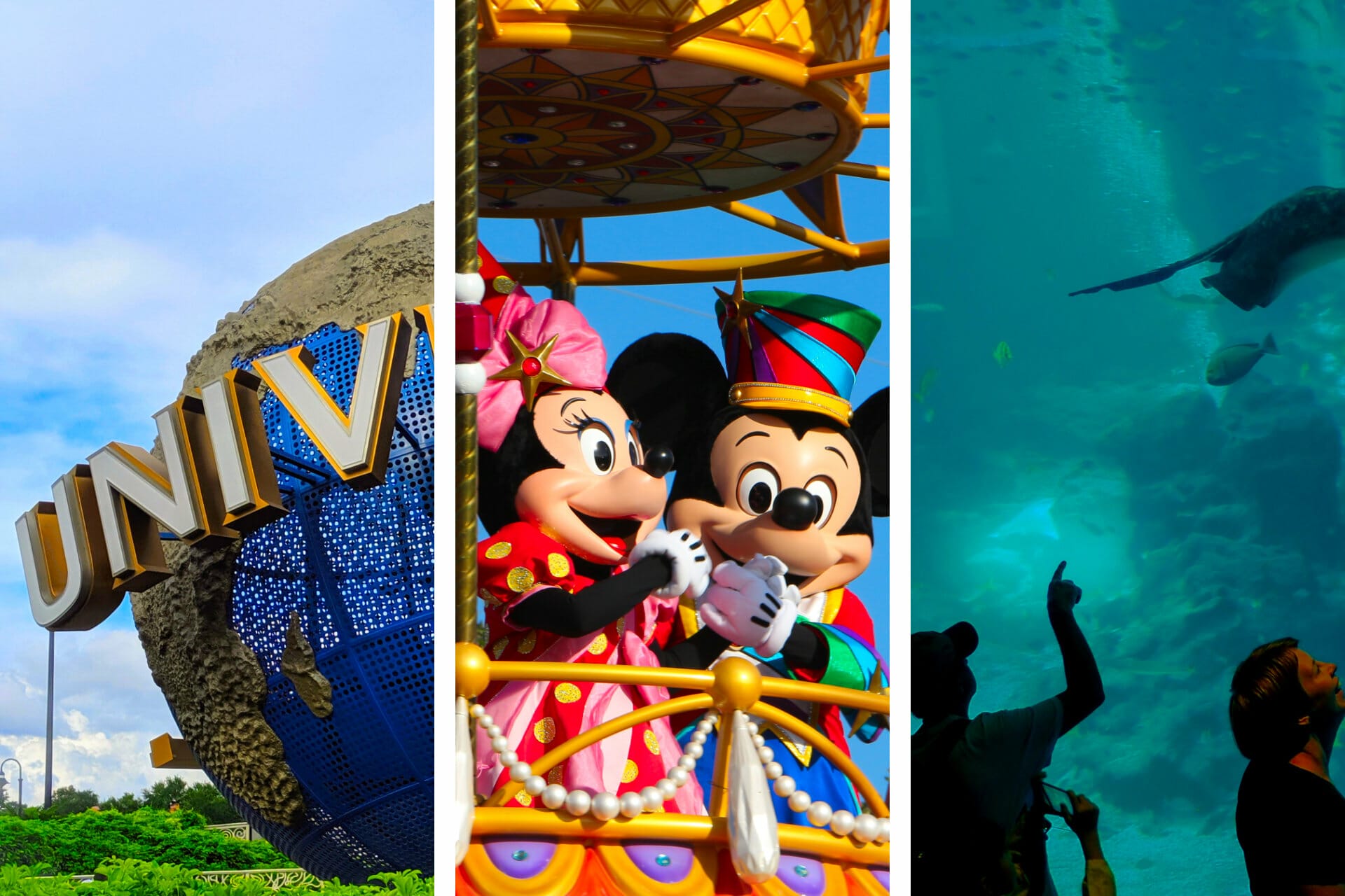 55+ Best and Fun Things to Do in Orlando, Florida (2024)