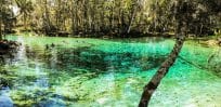 Florida in Winter: the Ultimate Guide to Winter in the Sun