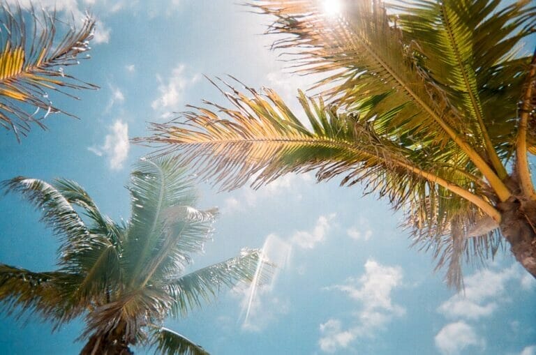 Florida in Winter: the Ultimate Guide to Winter in the Sun