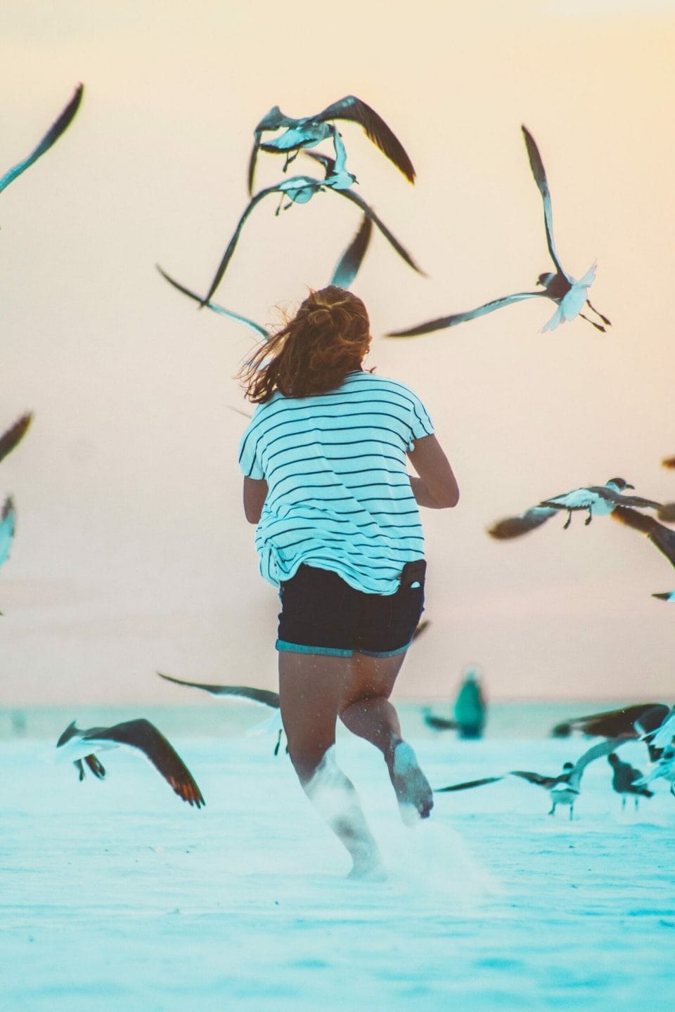 Florida in Winter: the Ultimate Guide to Winter in the Sun
