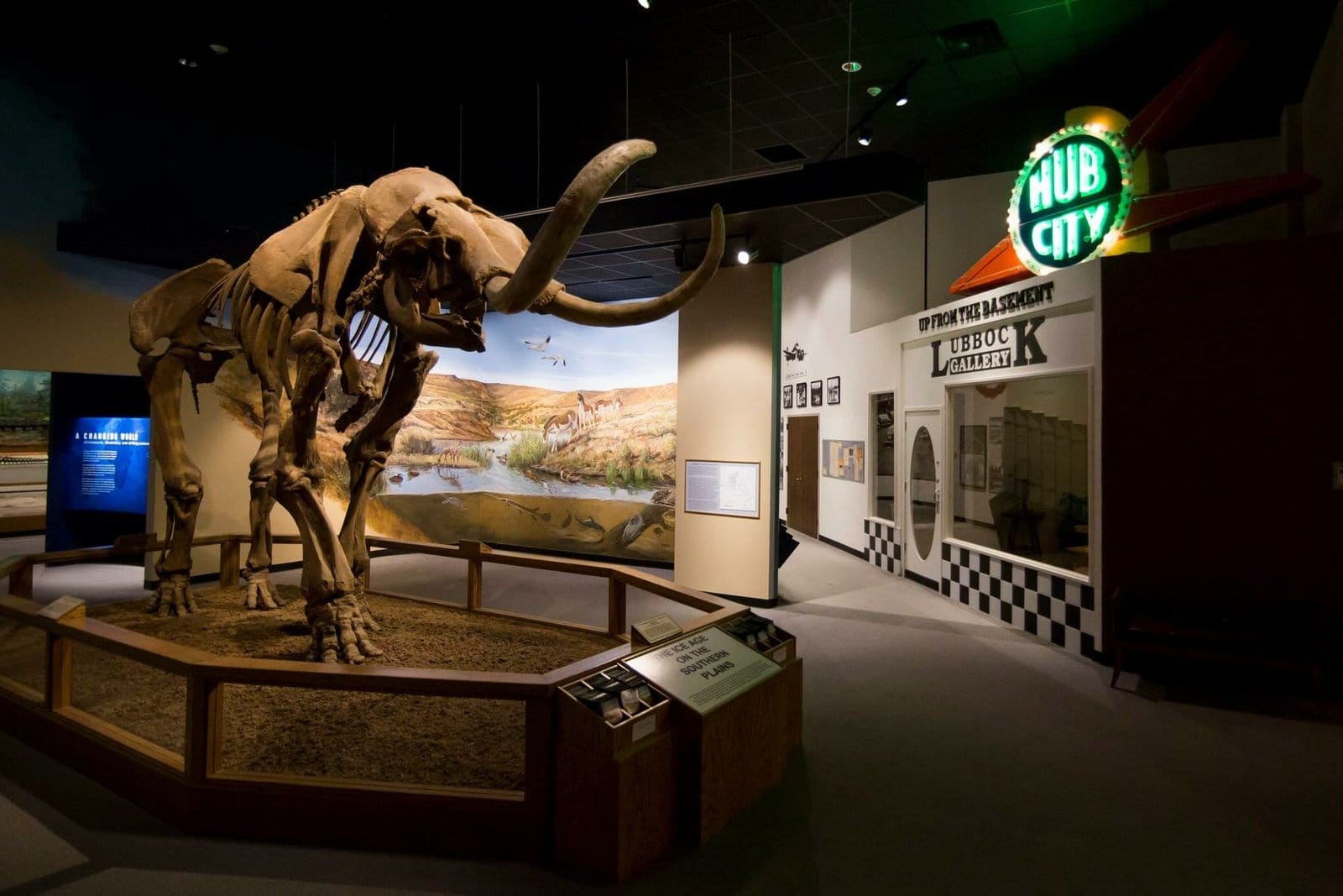 21+ Best and Fun Things to Do in Lubbock, Texas (2023)