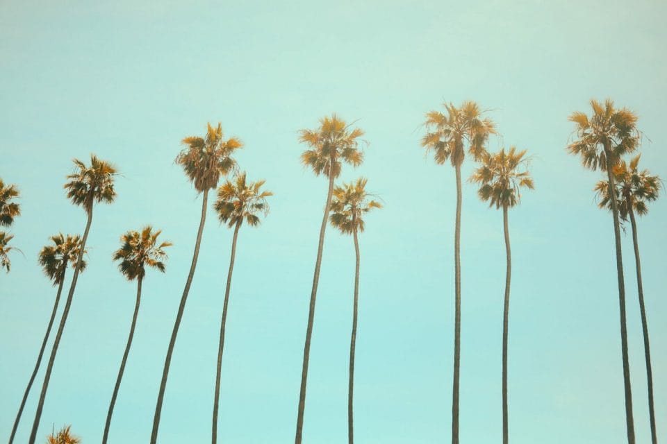 101+ Unique California Instagram Captions for the Perfect Post