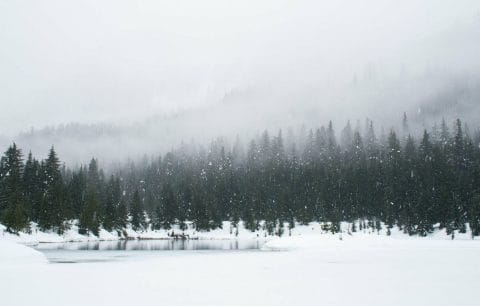 101+ Unique Snow Instagram Captions for the Perfect Post