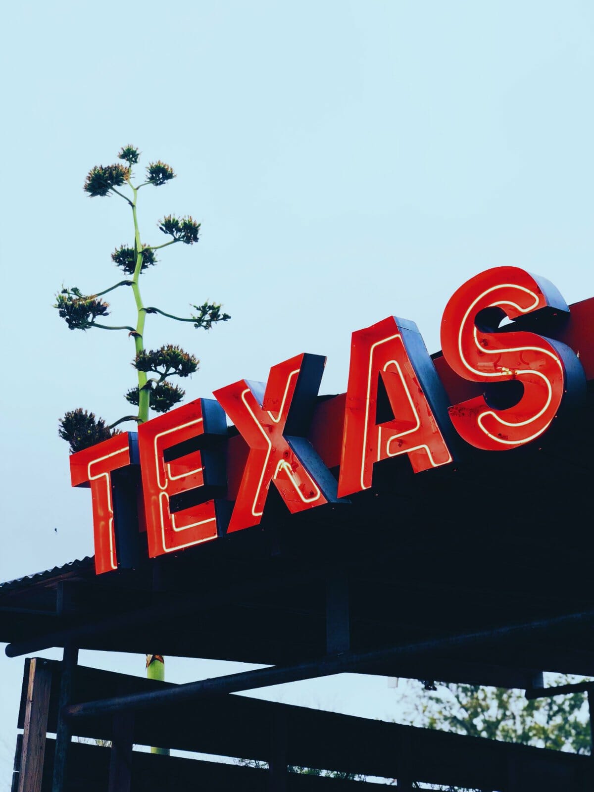 27 Unique Texas Instagram Captions for the Perfect Post