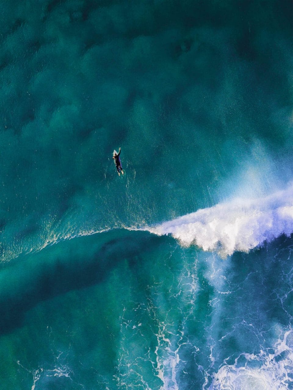 41 Unique Surfing Instagram Captions for the Perfect Post