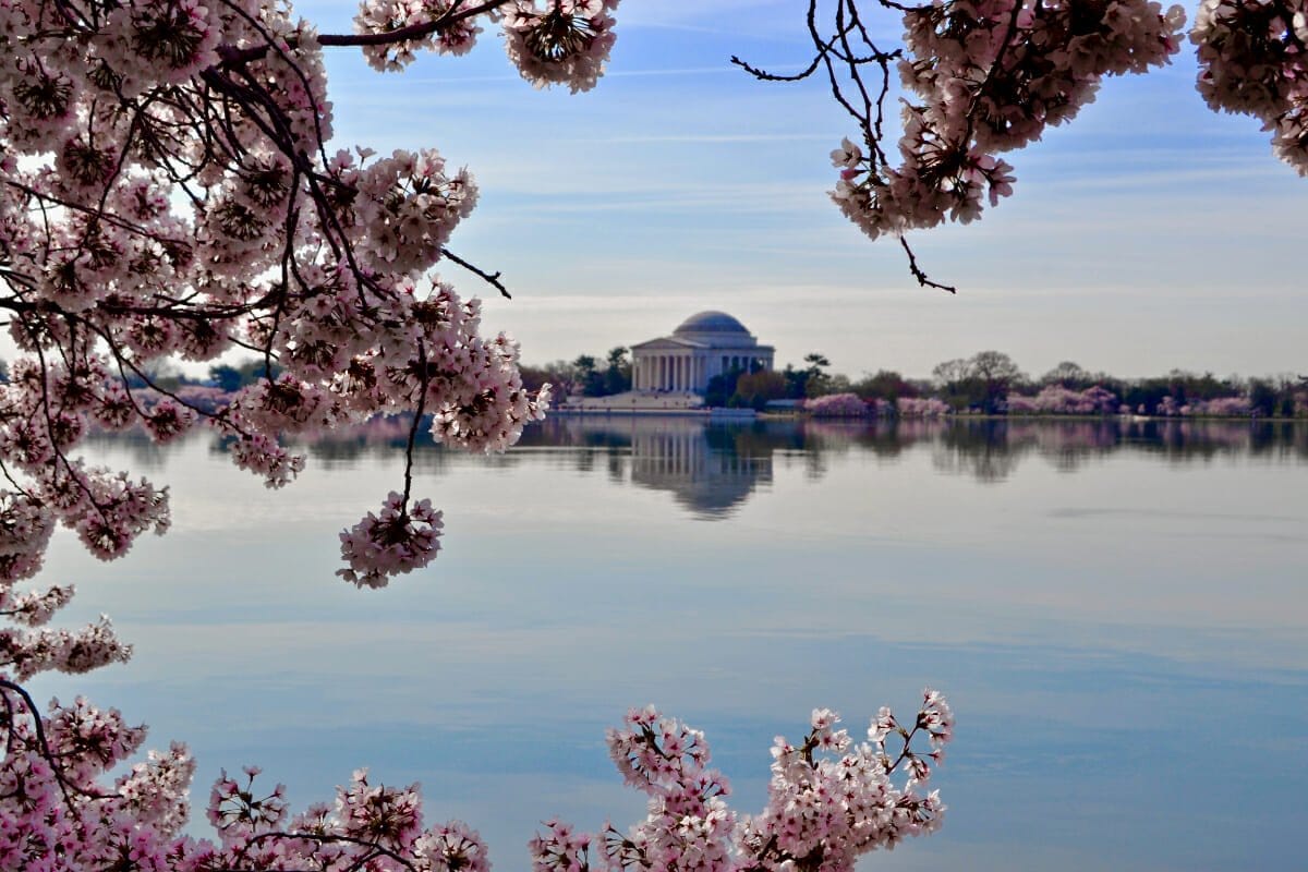 31 Washington DC Instagram Captions for the Perfect Post