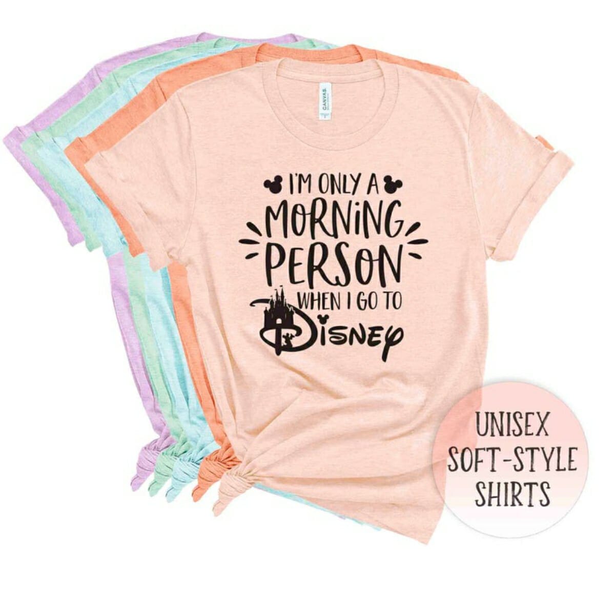 23+ Best Disney World Shirts to Wear to the Parks