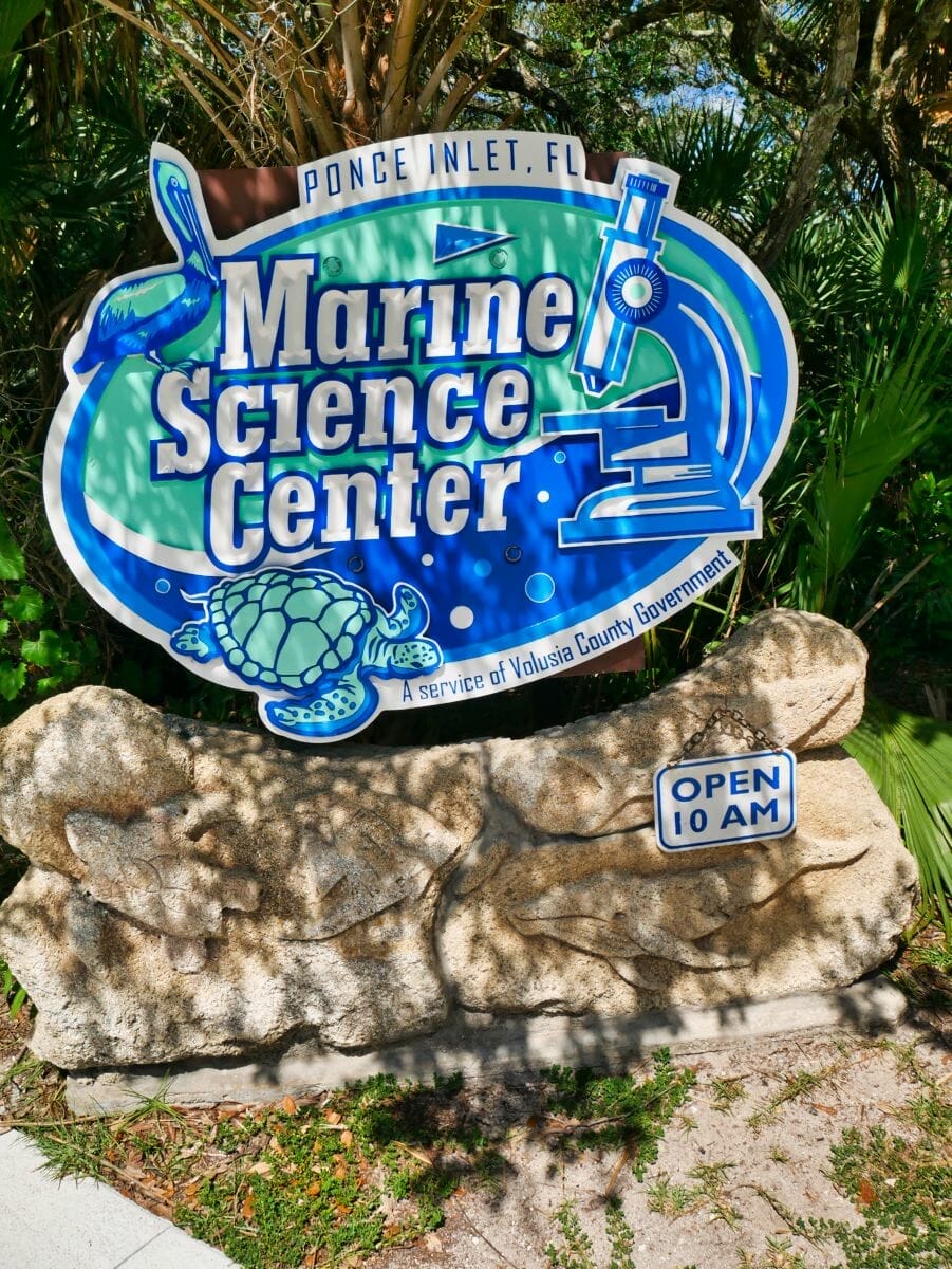 Marine Science Center in Ponce Inlet Review: Helpful Tips for Visitors ...