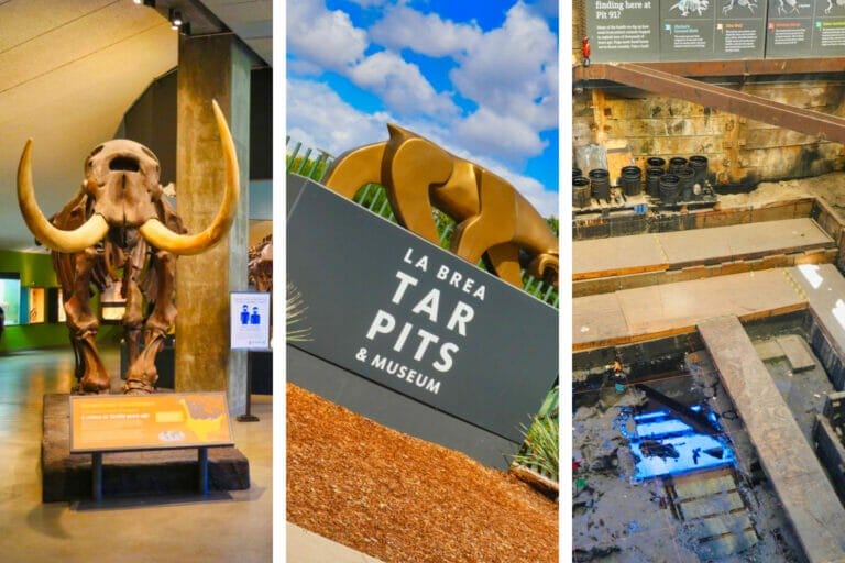 Honest La Brea Tar Pits Review Tips For Visiting All American Atlas