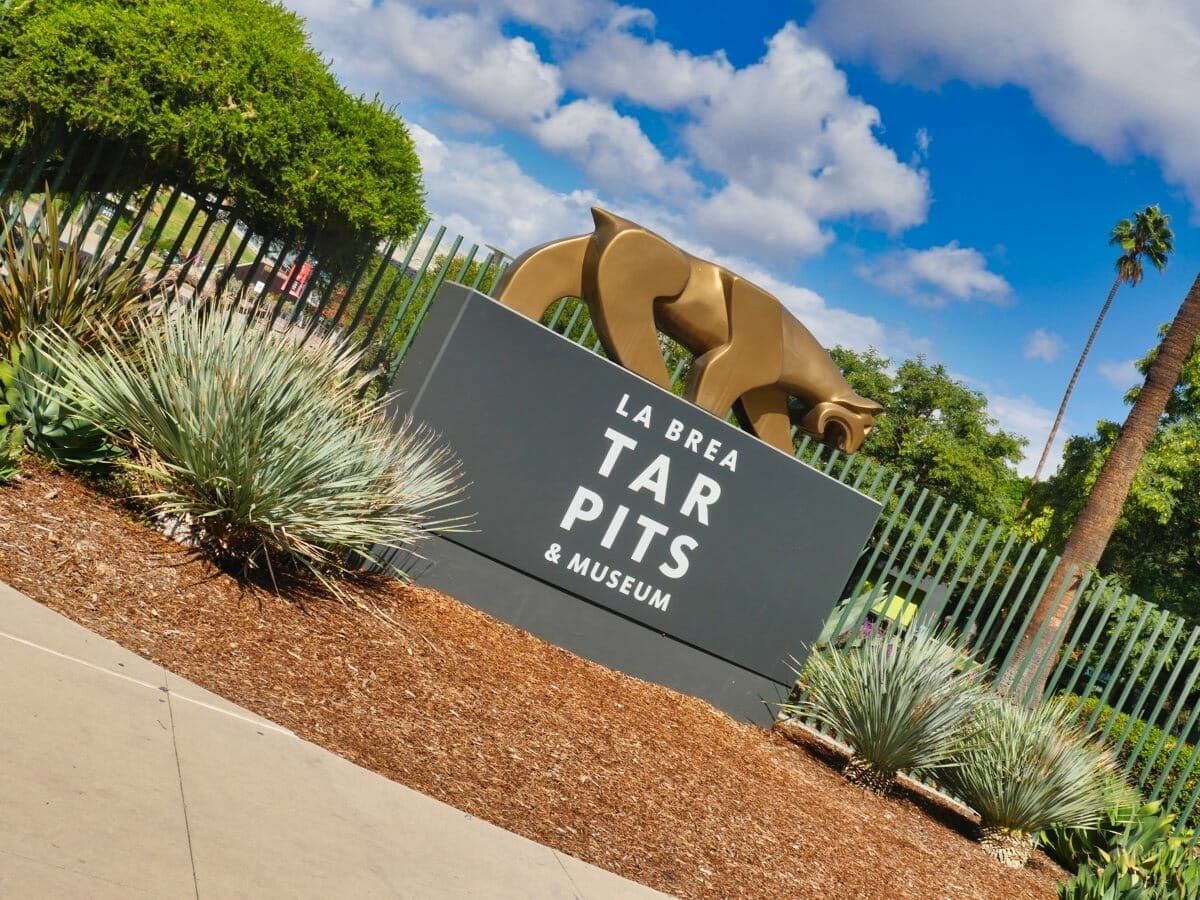 Honest Review La Brea Tar Pits 2024