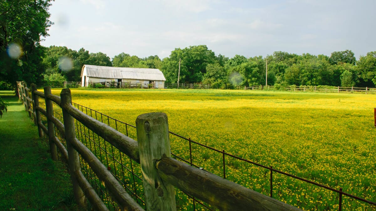 19 Cool Things to Do in Rogers, Arkansas