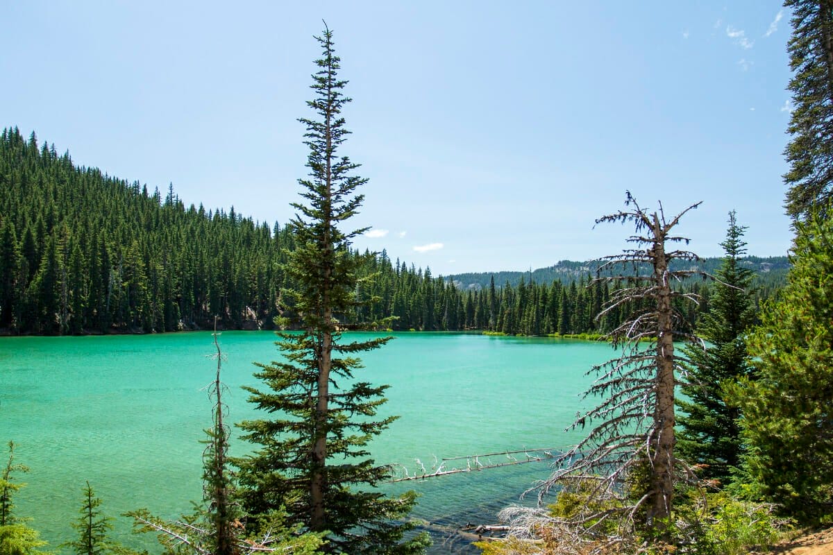 21 Fun & Interesting Facts about Oregon (unique!)