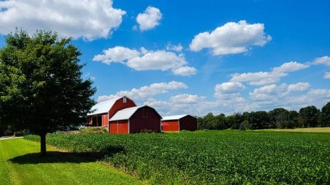 21 Fun Facts about Ohio (that most people don't know!)