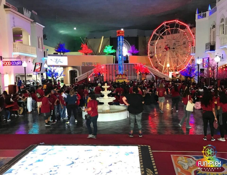 17 Fantastic Things to Do Alone in Houston, Texas (2024)