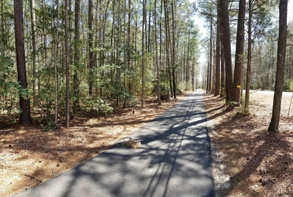 31 Free Things to Do in Richmond, Virginia