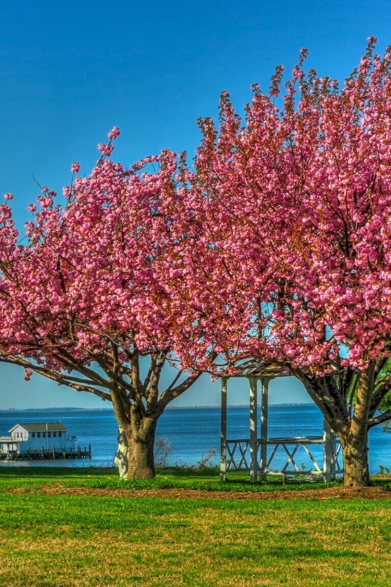 51 Fun Facts about Maryland (that most people don't know!)