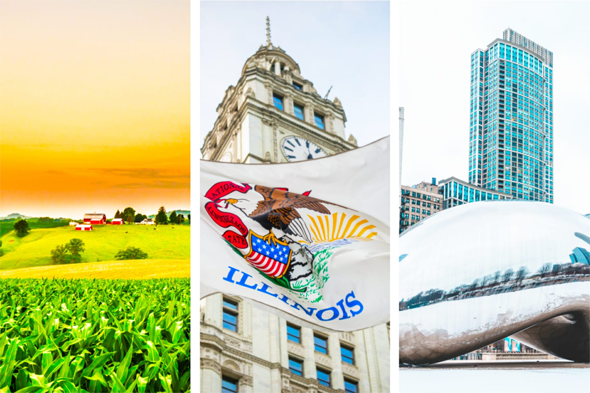 51 Fun Facts about Illinois (that most people don't know!)