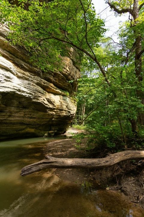 51 Fun Facts about Illinois (that most people don't know!)