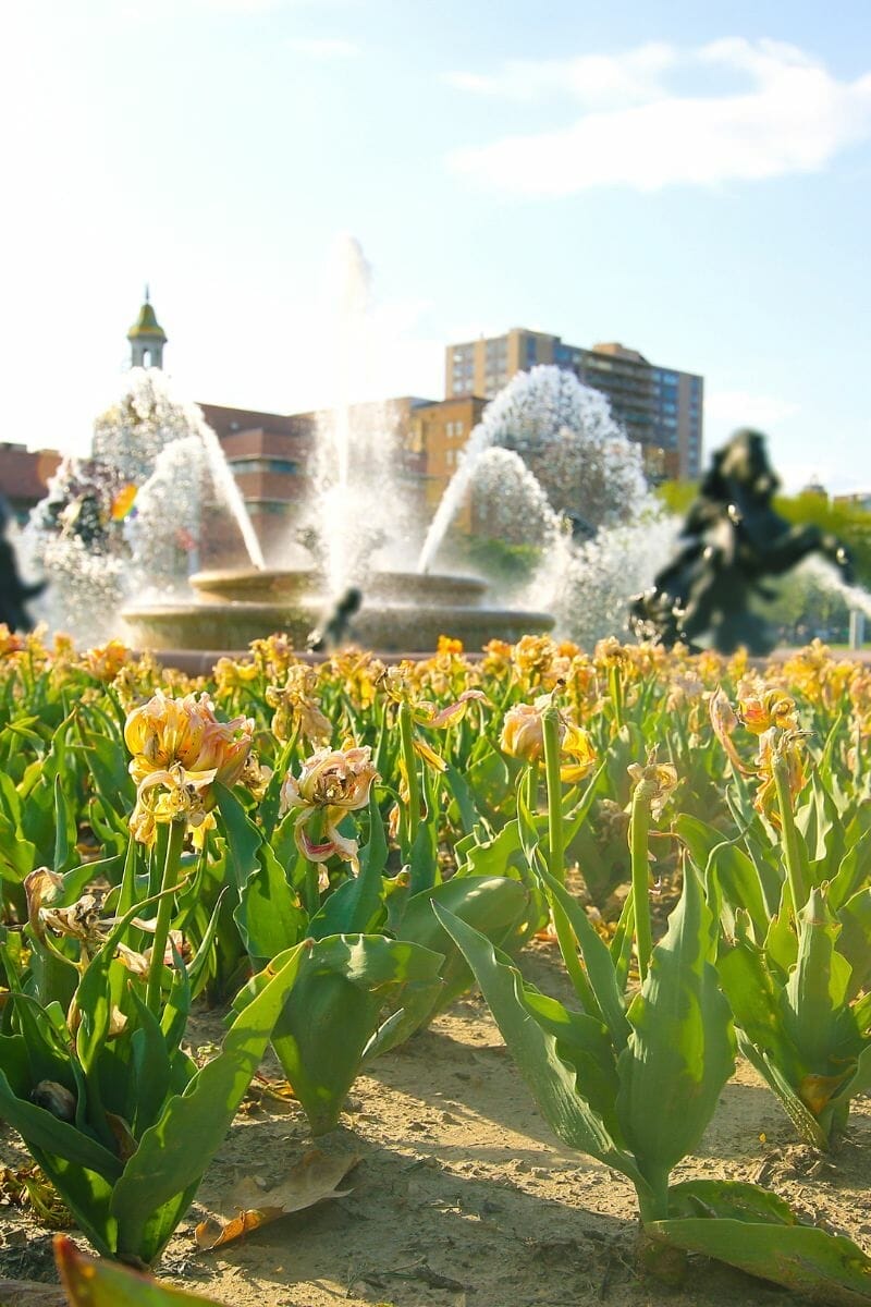 51 Fun Facts about Missouri (that most people don't know!)