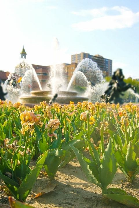 51 Fun Facts about Missouri (that most people don't know!)