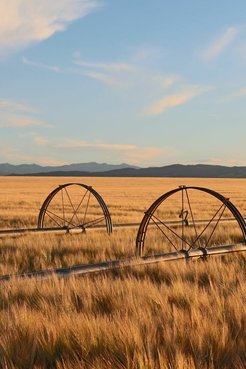 51 Fun Facts about Montana (that most people don't know!)