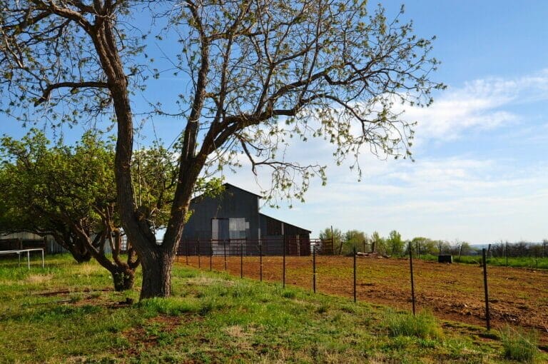 17 Charming Small Towns in Utah You Need to Visit (2023)