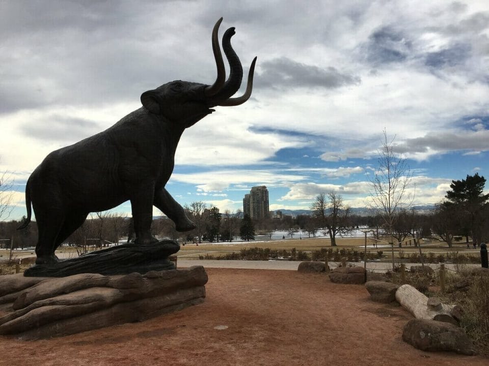 27 Perfect Things to Do Alone in Denver (2023)