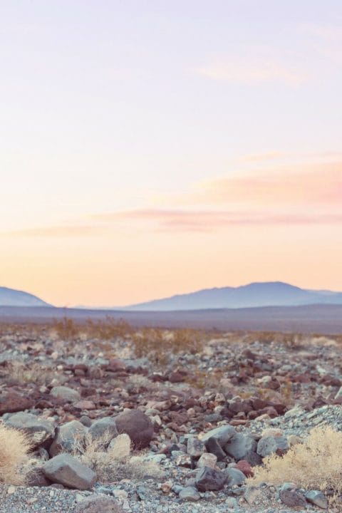 51 Fun Facts about Nevada (that most people don't know!)