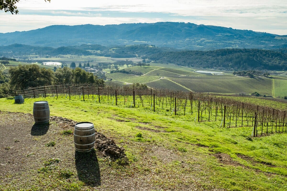 21 Charming Small Towns in California that You Need to Visit (2023)