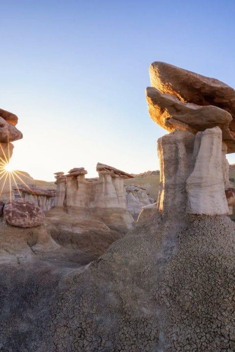 51 Fun Facts about New Mexico (that most people don't know!)