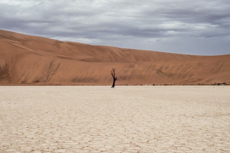 101+ Unique Desert Instagram Captions for the Perfect Post