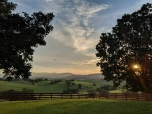 51 Fun Facts about Virginia (that most people don't know!)