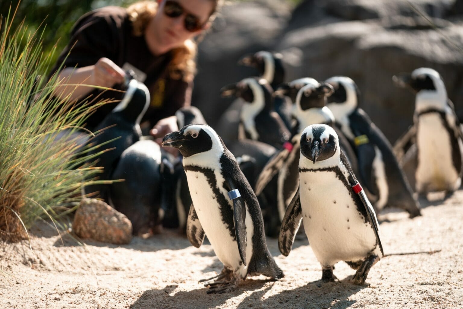 41 Awesome Things Colorado is Known For (+ Famous For!)