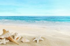 31 Awesome Things Florida is Known For (+ Famous For!)