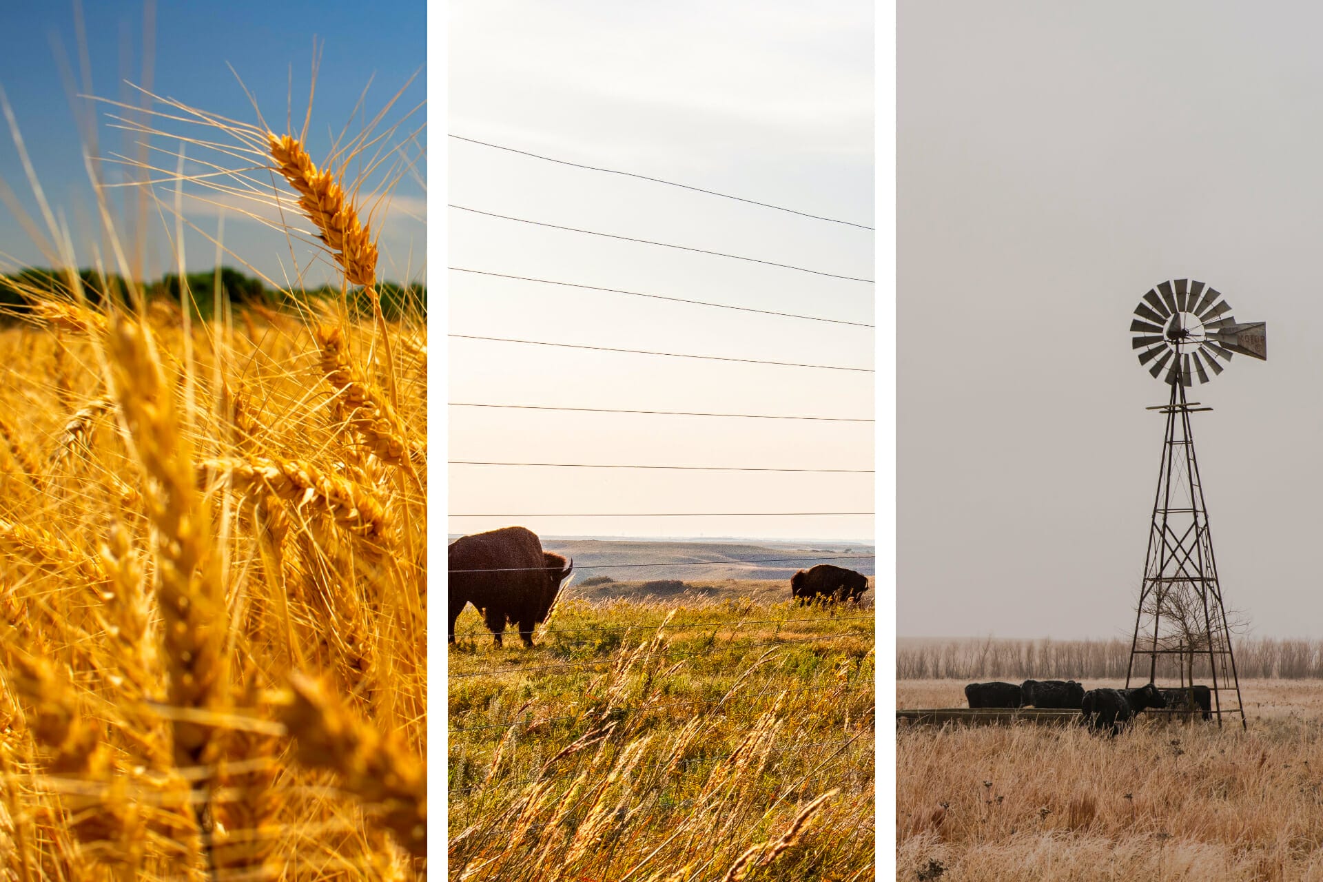 25 Interesting Things Kansas is Known For (+ Famous For) 25 Interesting Things Kansas is Known For (+ Famous For)