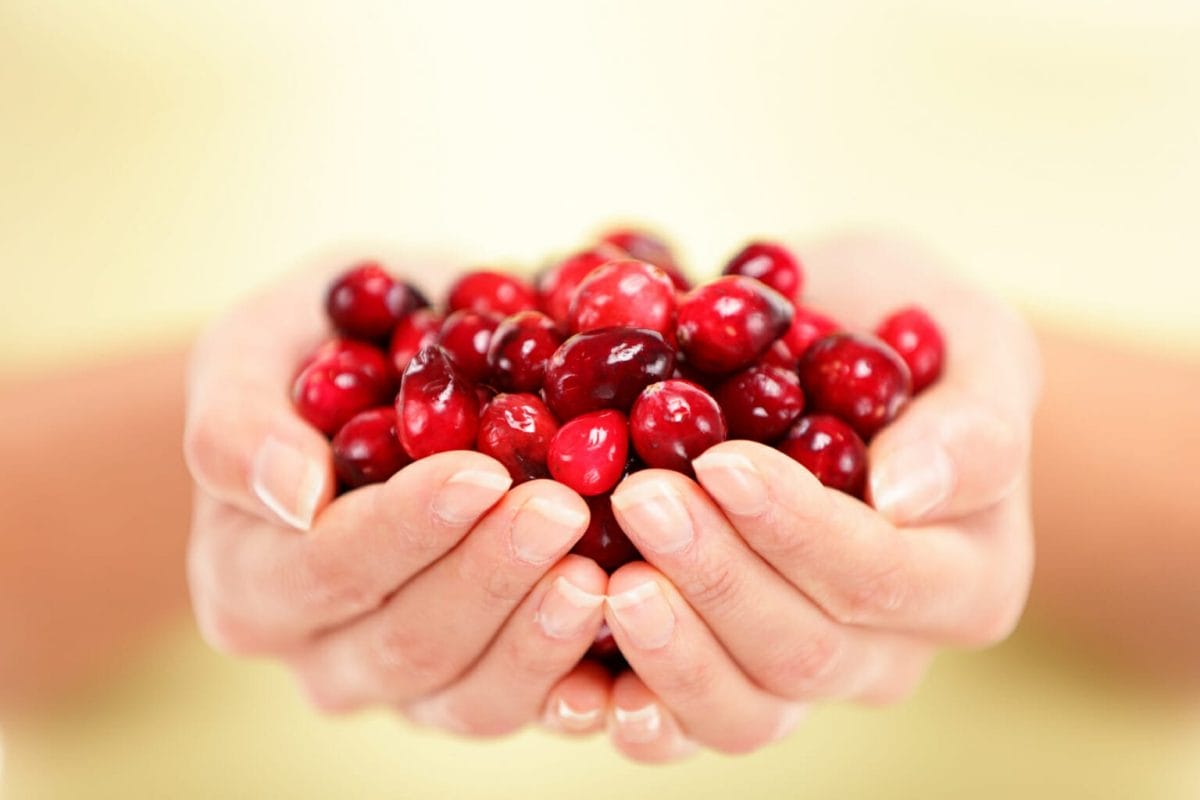 What is Wisconsin Known For? 23+ Things Wisconsin is Famous For