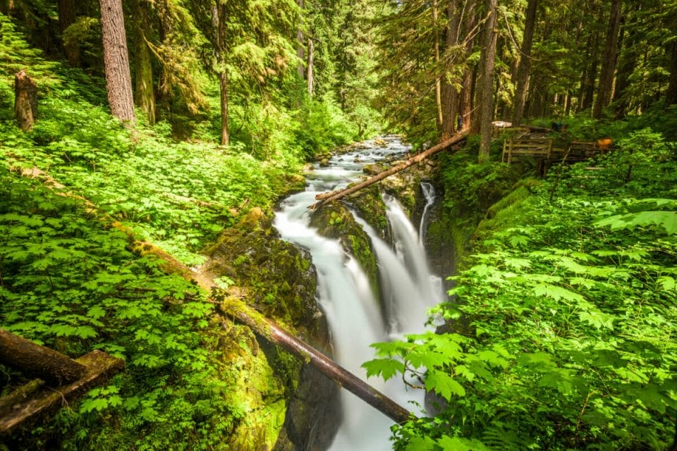 What is Washington State Known For? 31+ Things Washington State is ...