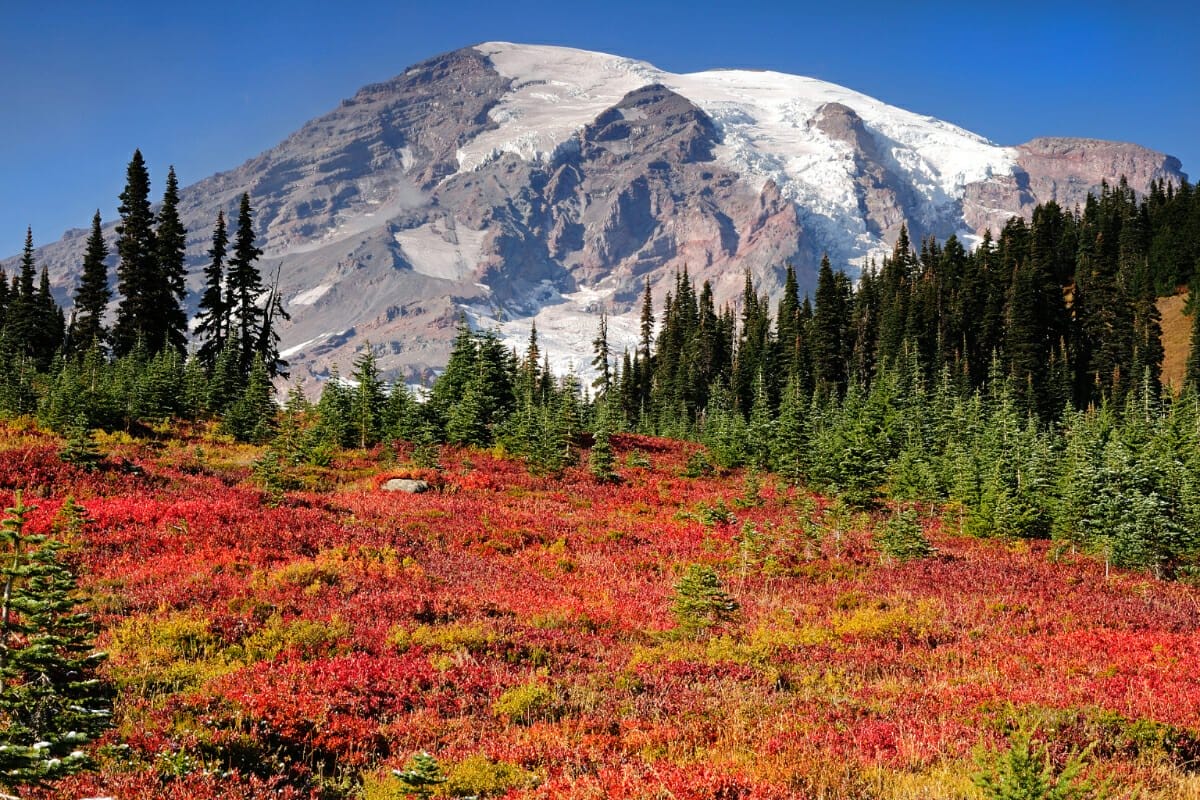 What is Washington State Known For? 31+ Things Washington State is ...