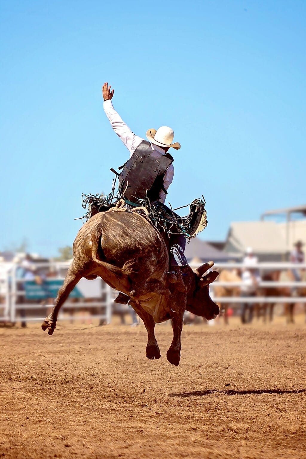 What is Wyoming Known for? 23+ Things Wyoming is Famous For