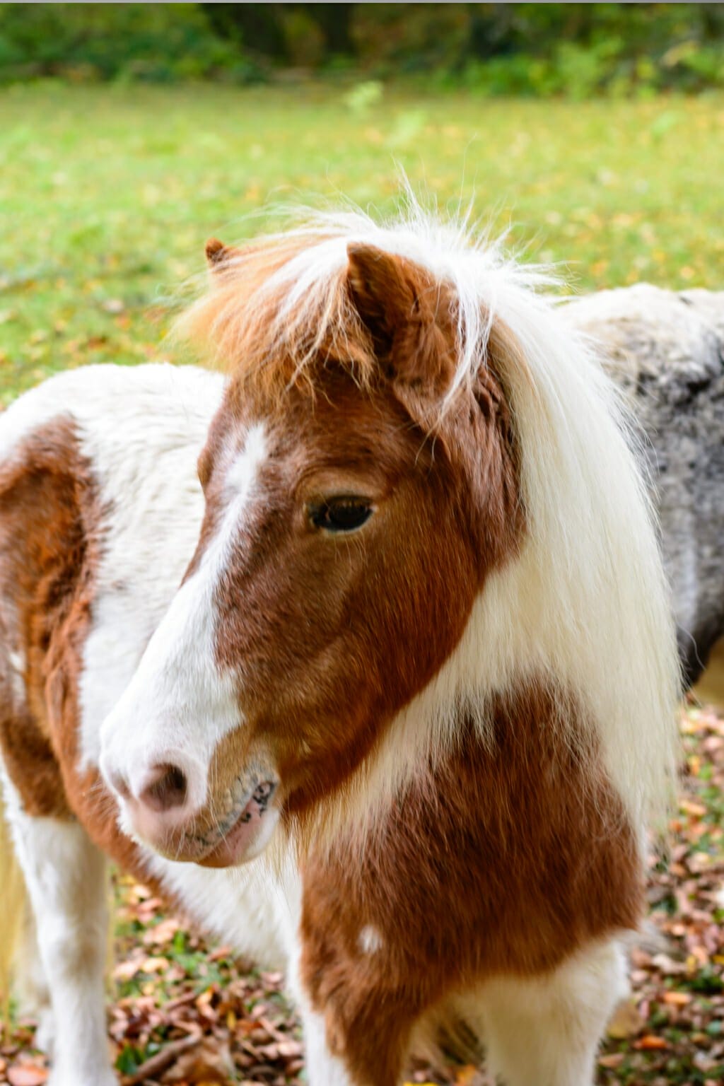 What is Tennessee Known For? 25+ Things Tennessee is Famous For