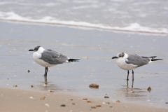 25 Awesome Things Alabama is Famous For (+ Known for!)