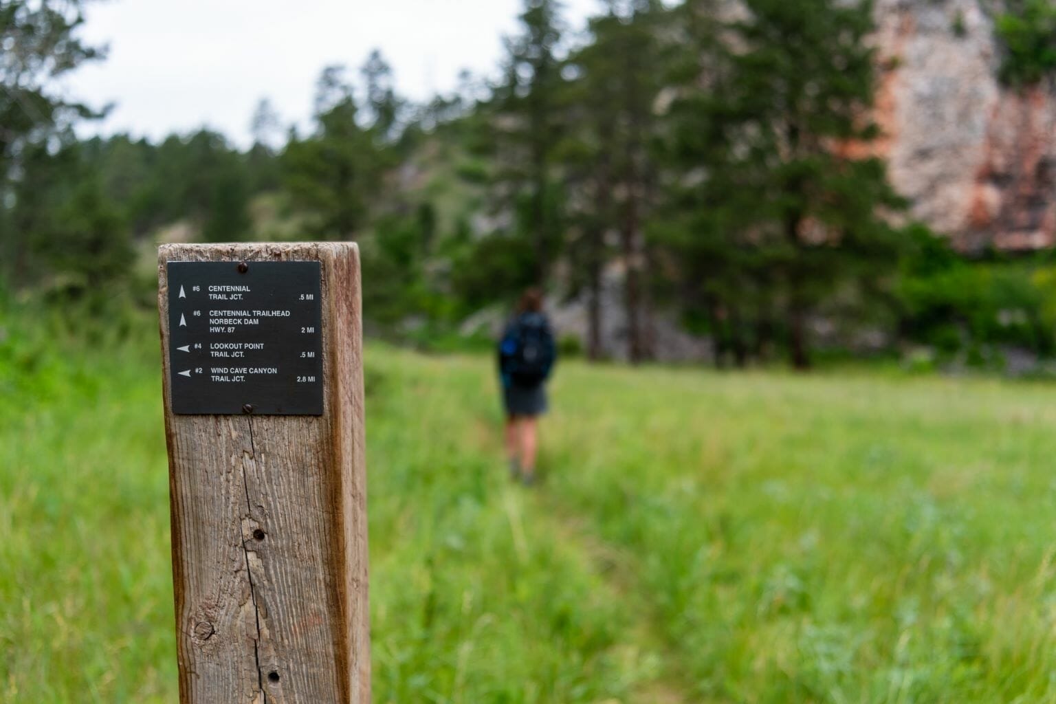 What is South Dakota Famous For? 20+ Things South Dakota is Famous For