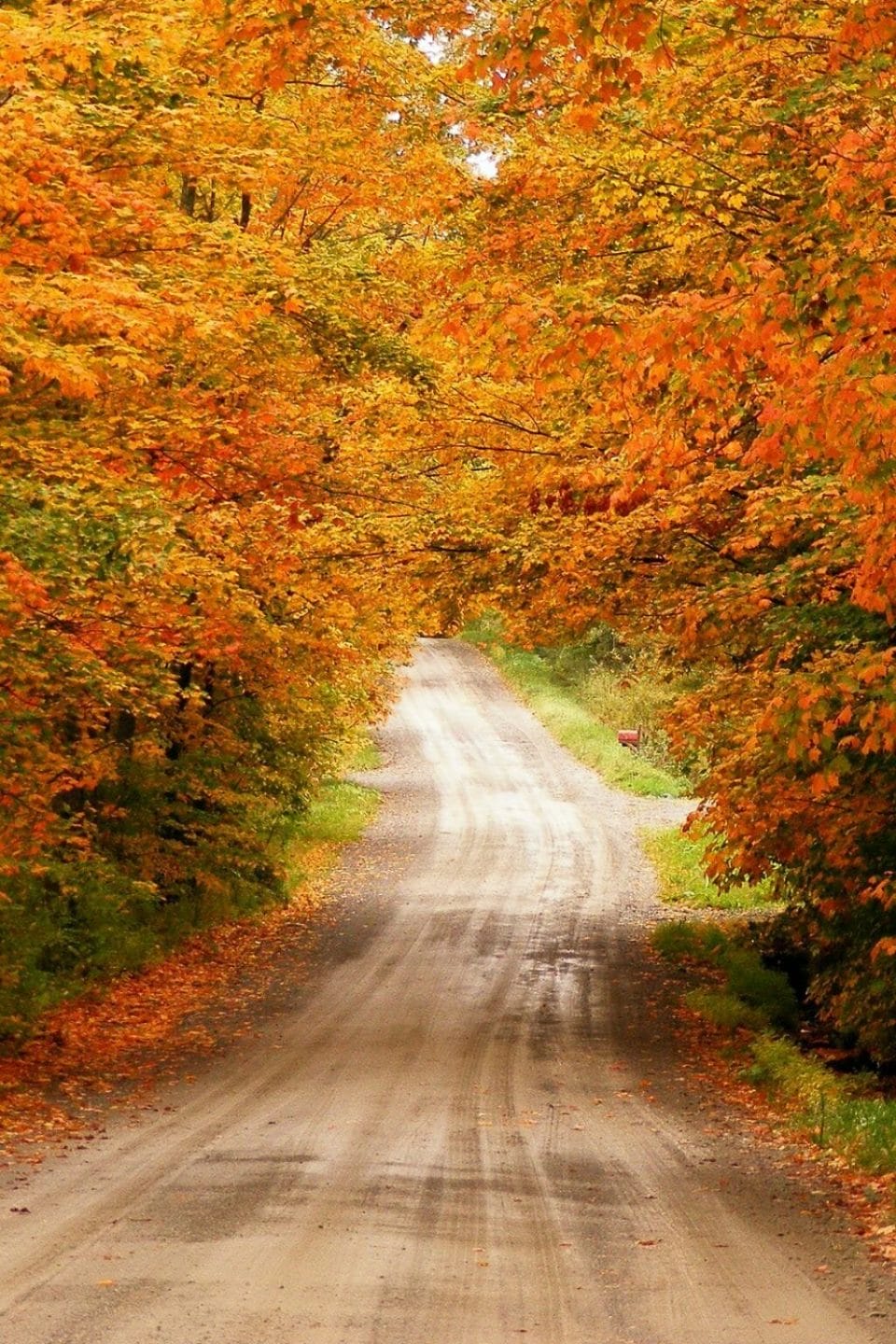 What is Vermont Known For? 31+ Things Vermont is Famous For