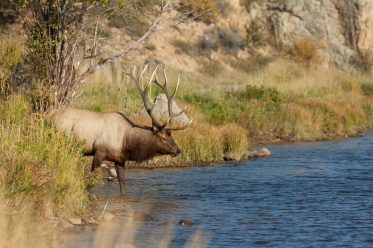 41 Awesome Things Colorado is Known For (+ Famous For!)