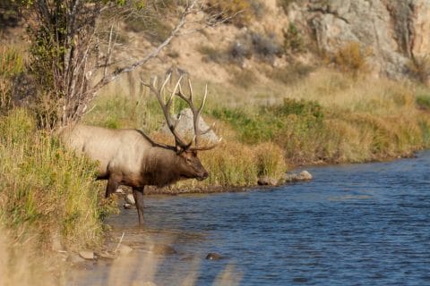 41 Awesome Things Colorado is Known For (+ Famous For!)