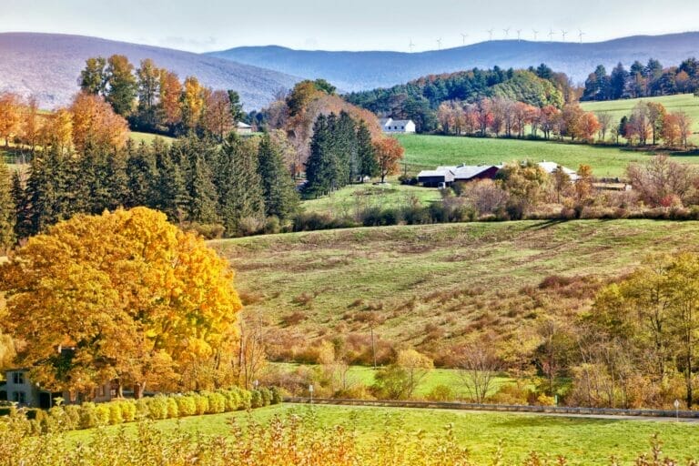 29 Awesome Things Connecticut is Known For (+ Famous For!)