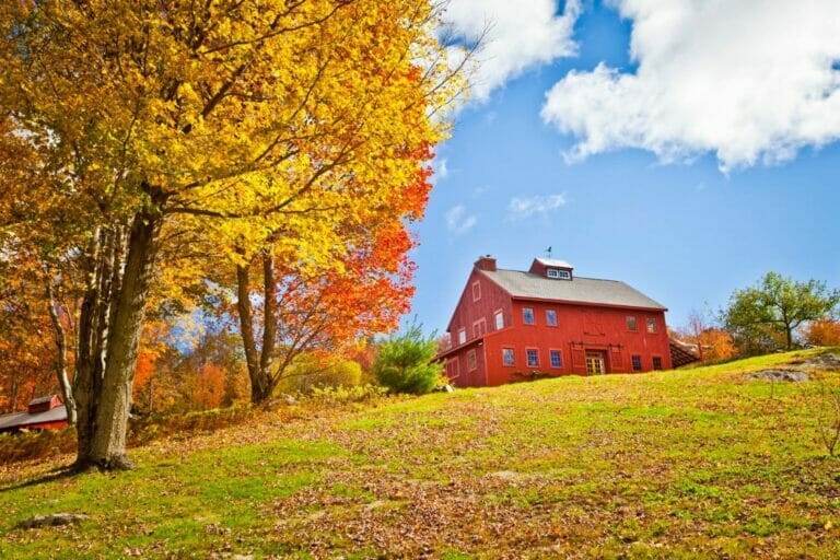 29 Awesome Things Connecticut is Known For (+ Famous For!)