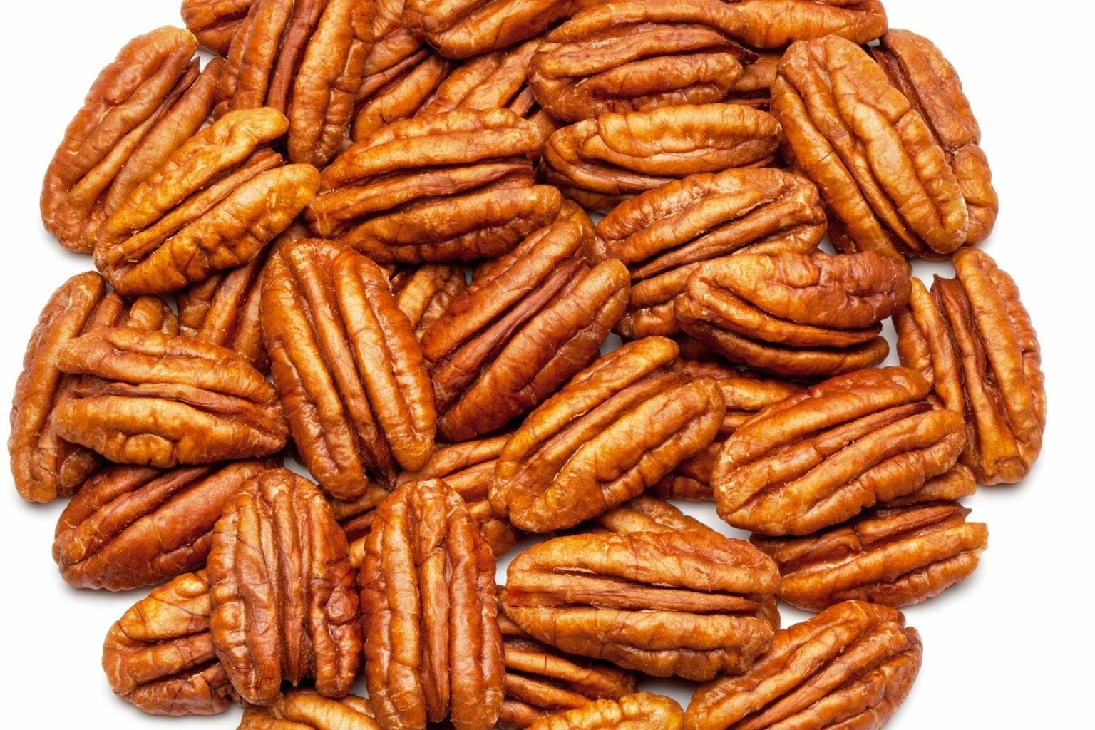 31 Cool Things Georgia is Known For (+ Famous For)