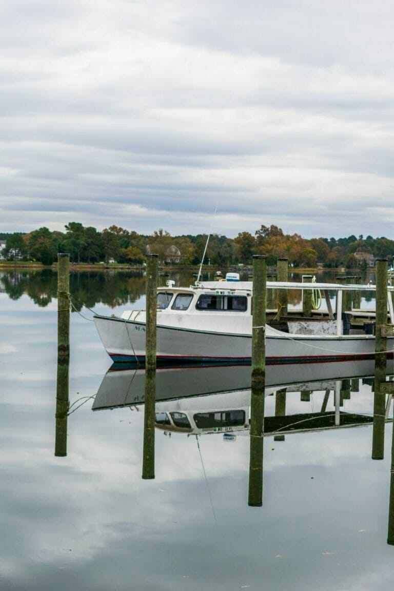 What is Virginia Known for? 37+ Things Virginia is Famous For